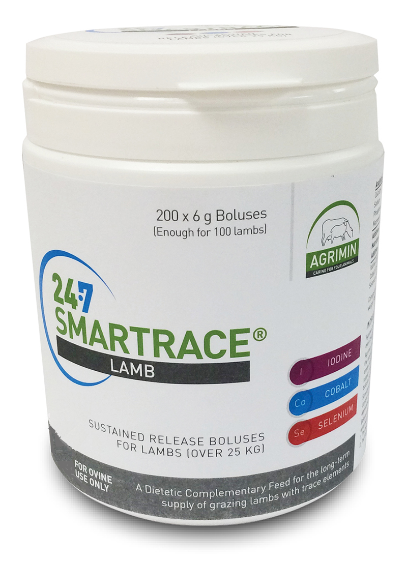 24·7 SMARTRACE® LAMB | Agrimin